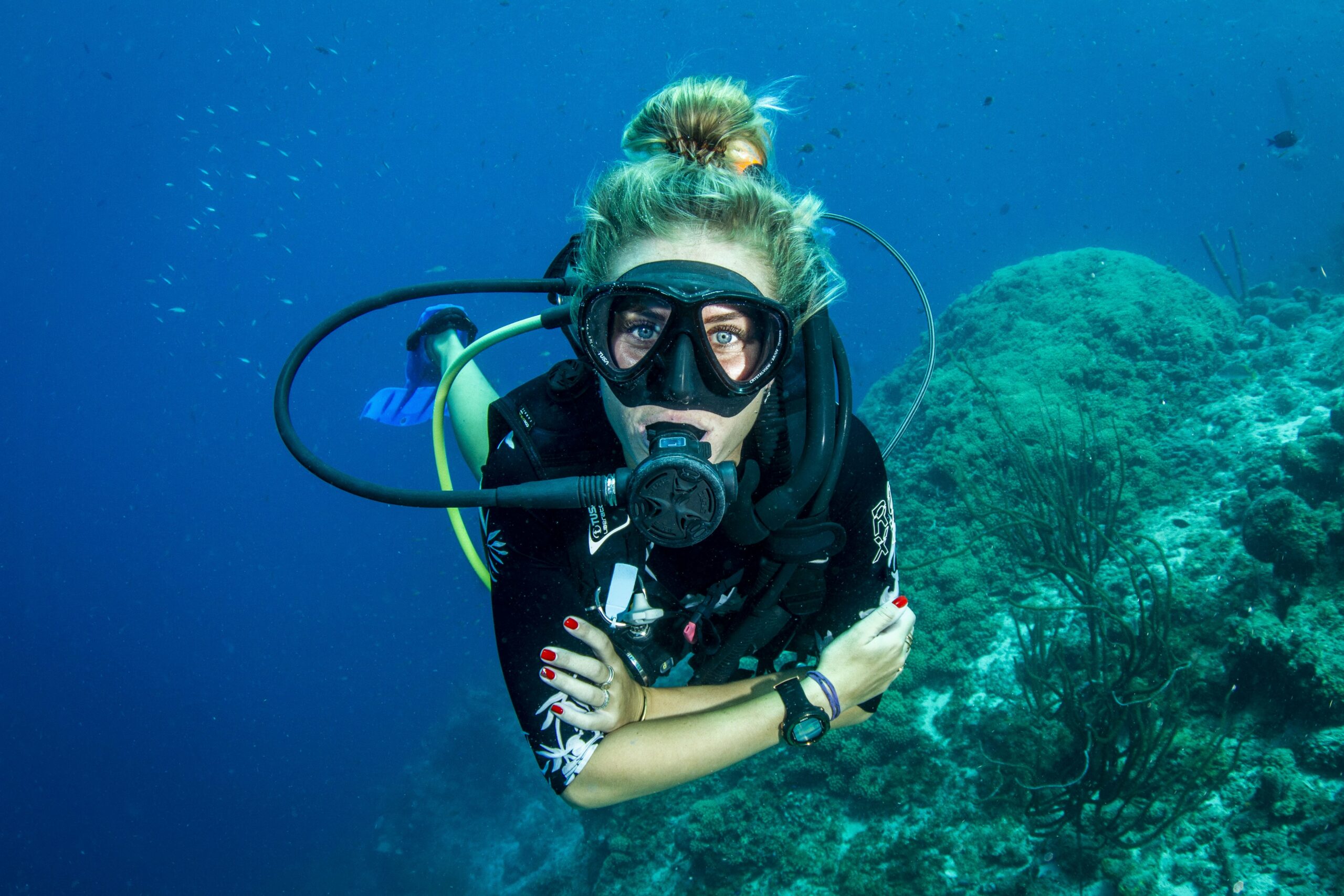 Coral Divers - DushiDeals