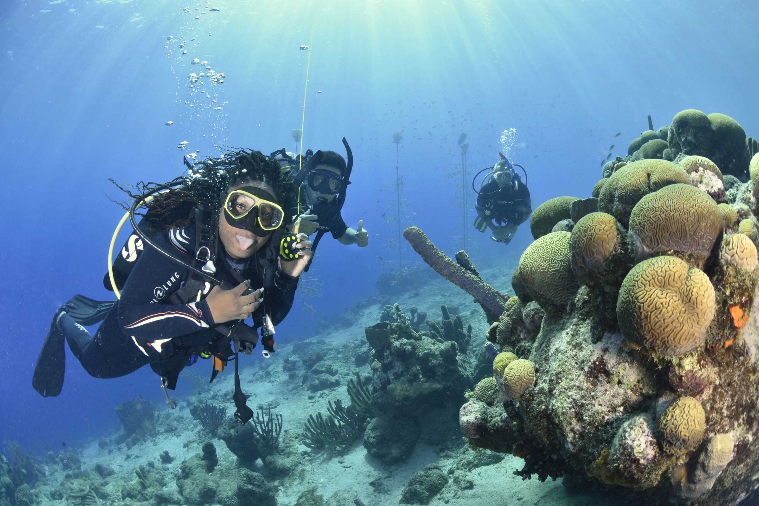 Blue Bay Dive & Watersports - DushiDeals